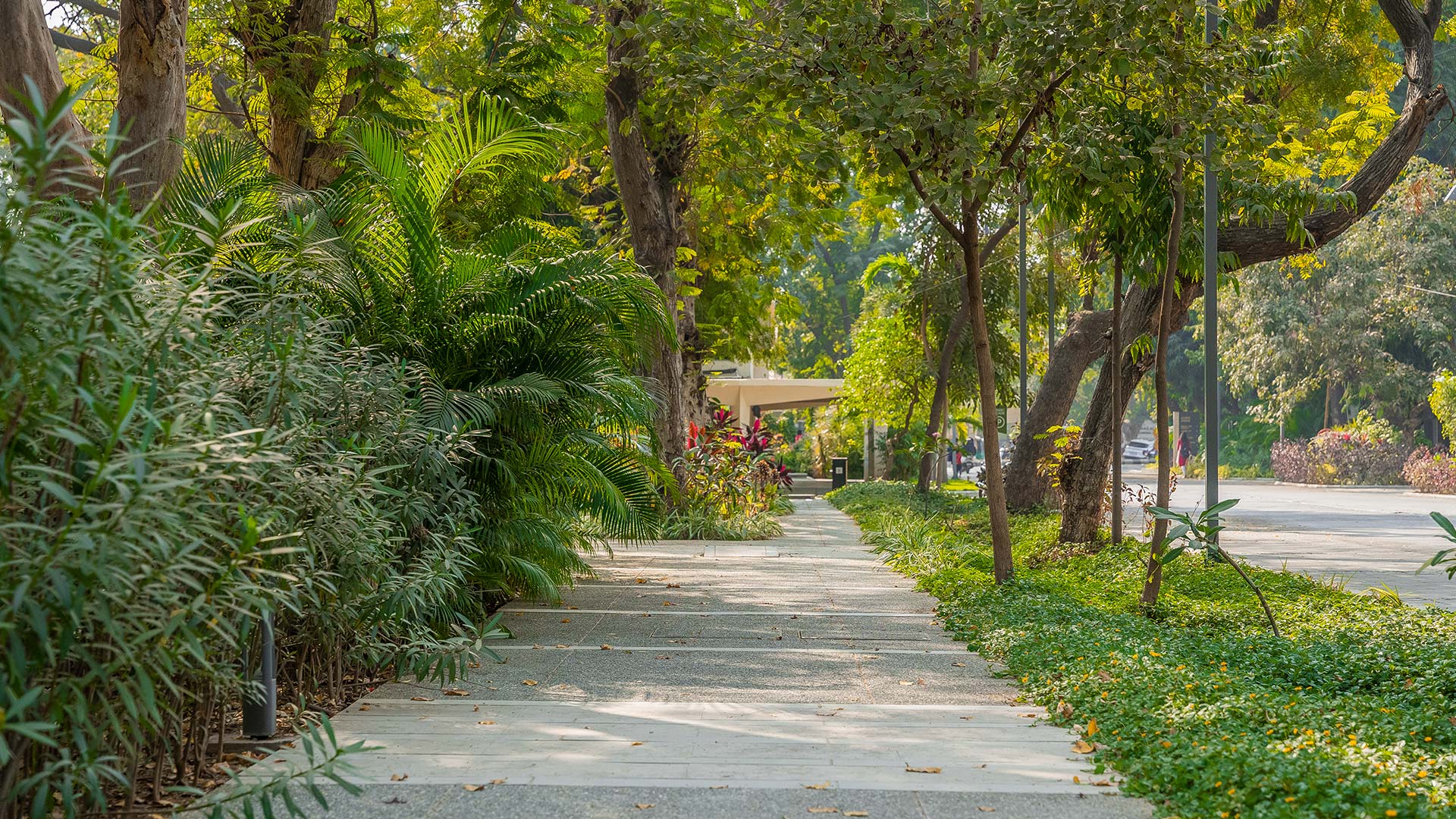 Alembic City – Luxury Residential and Commercial Projects Designed for ...